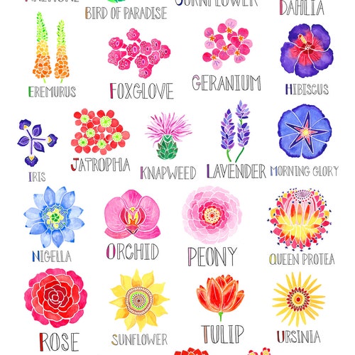 Floral Alphabet Poster - Etsy