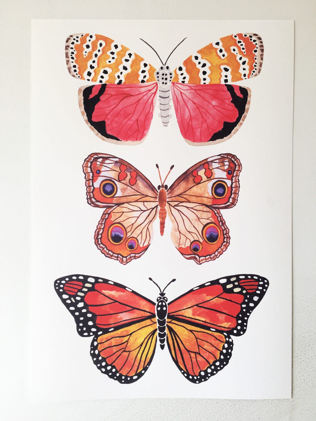 Butterfly Poster - Etsy