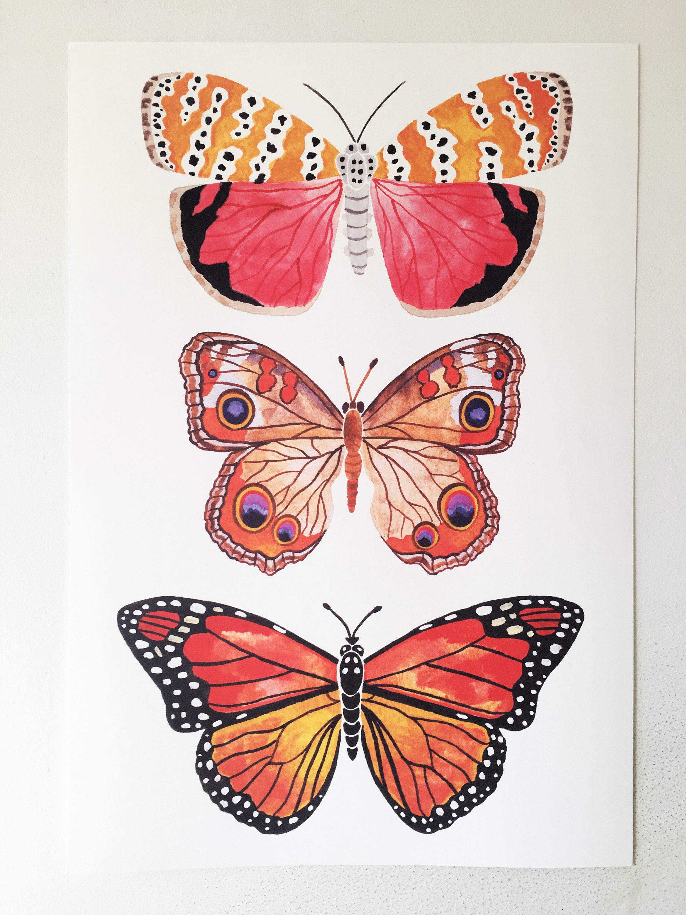 Butterfly Poster - Etsy