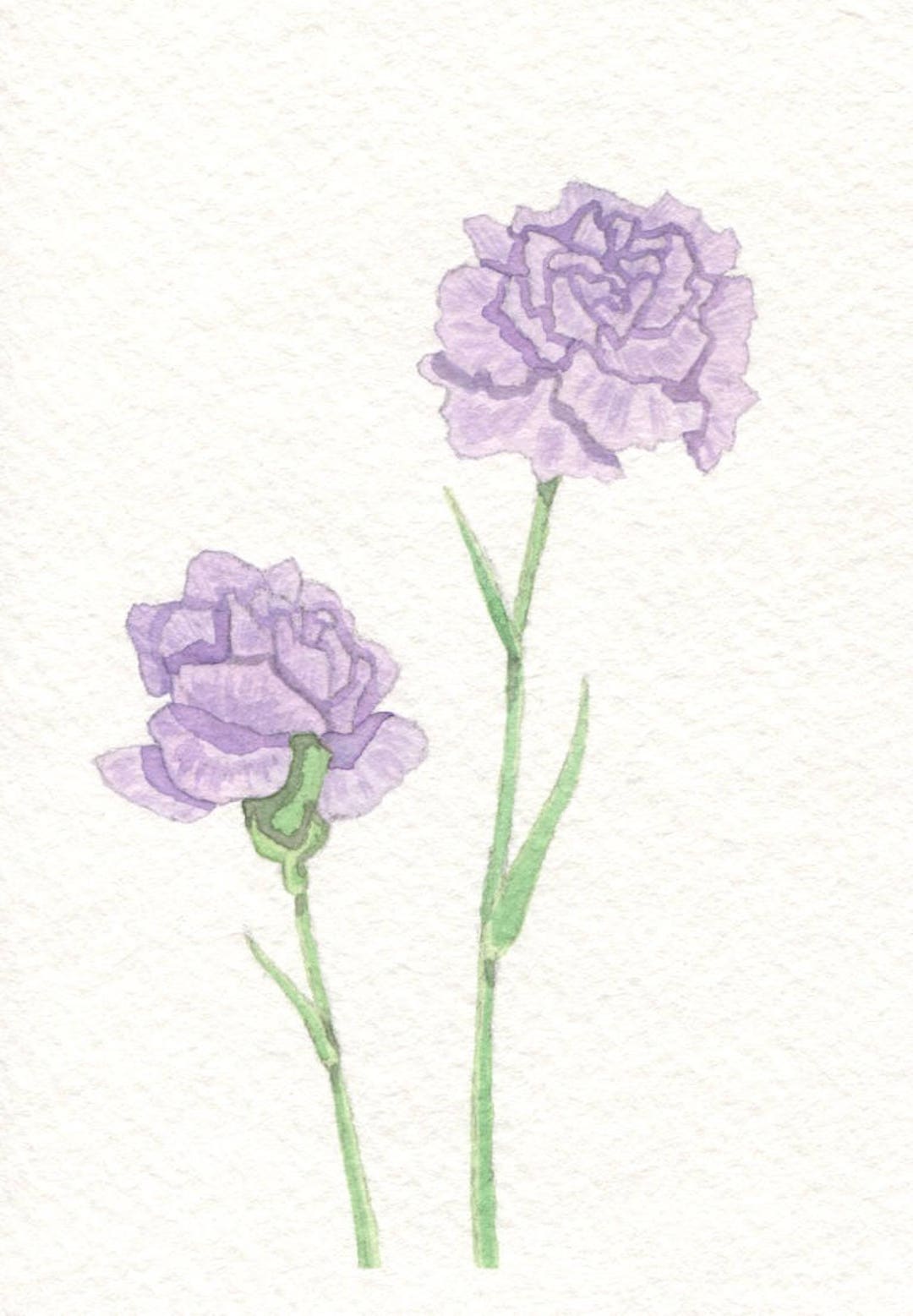 Purple Carnations Card - Etsy