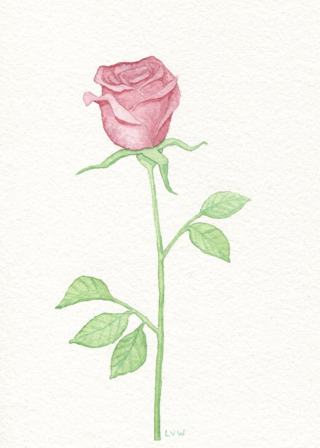 Single Red Rose Card - Etsy