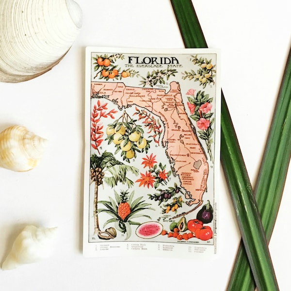 Florida Sticker - Etsy