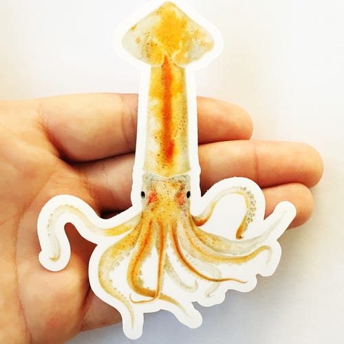 Banjo Tree Sticker Holographic Sticker Bluegrass Banjo | Etsy