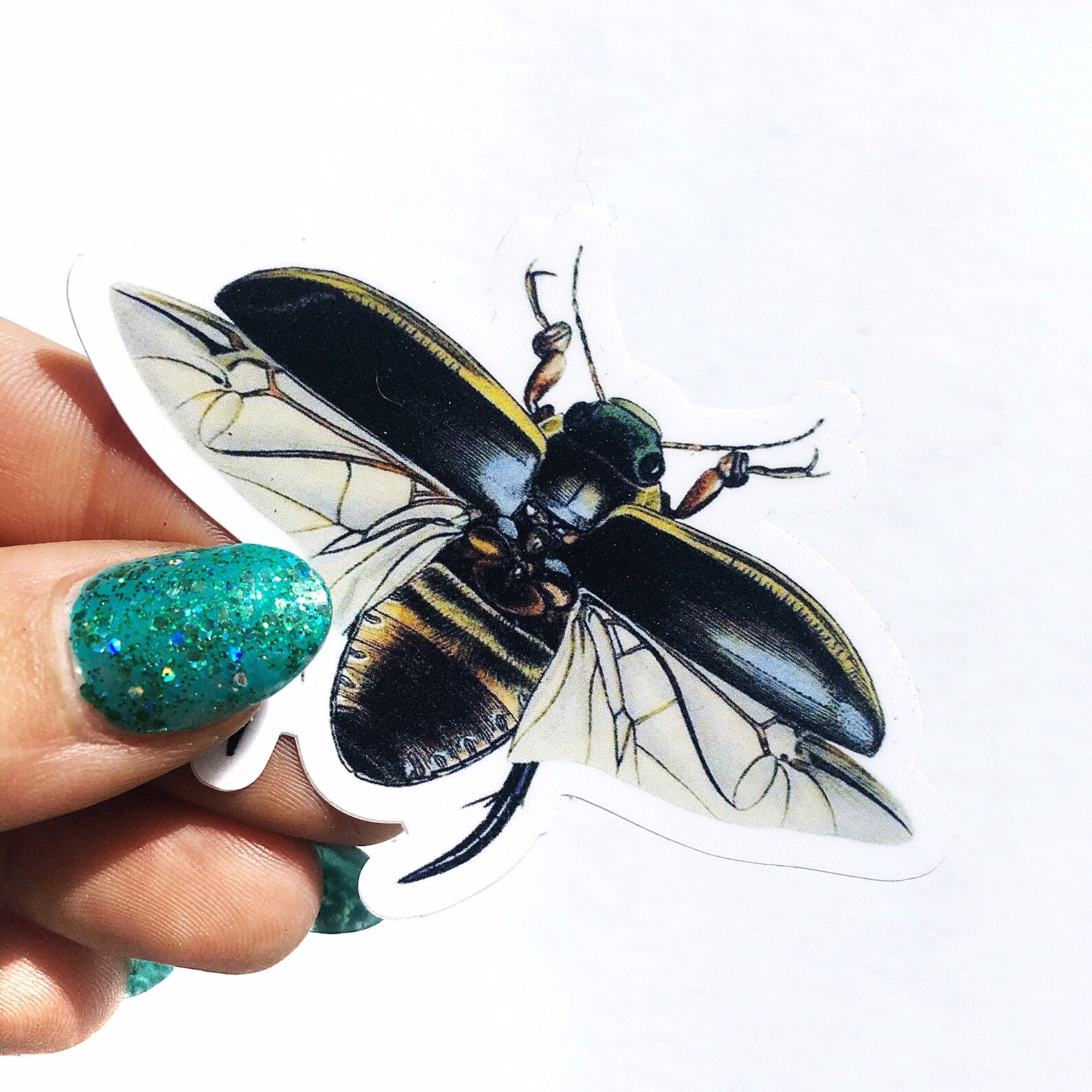 Vintage Beetle Sticker Antique Scarab Vinyl Laptop Sticker - Etsy