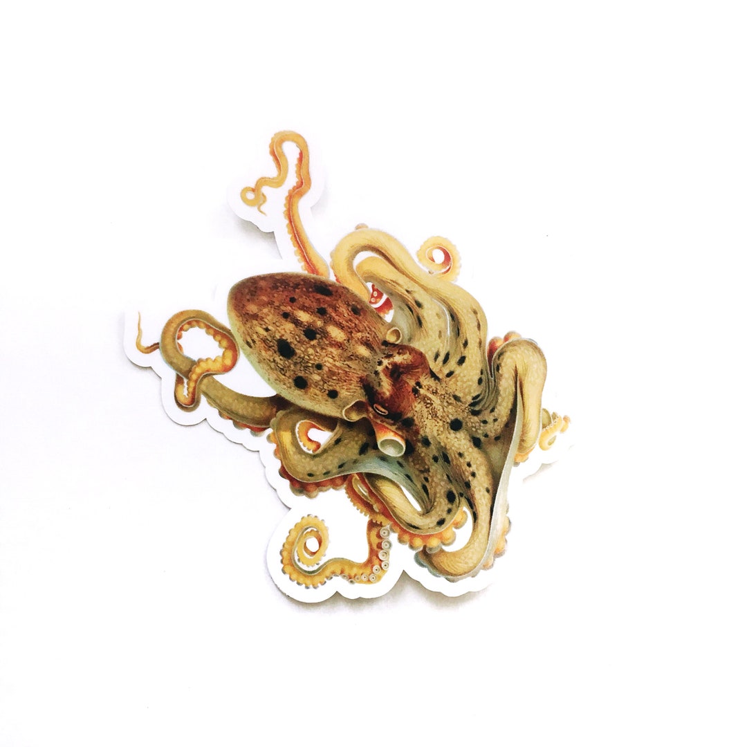 Octopus Sticker, Vintage Vinyl Stickers, Ocean Decal, Retro Laptop ...