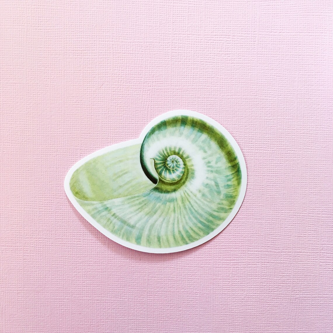 Green Seashell Sticker Beachy Vintage Vinyl Sticker Shell | Etsy