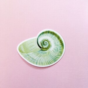 Green Seashell Sticker, Beachy Vintage Vinyl Sticker, Shell Sticker ...