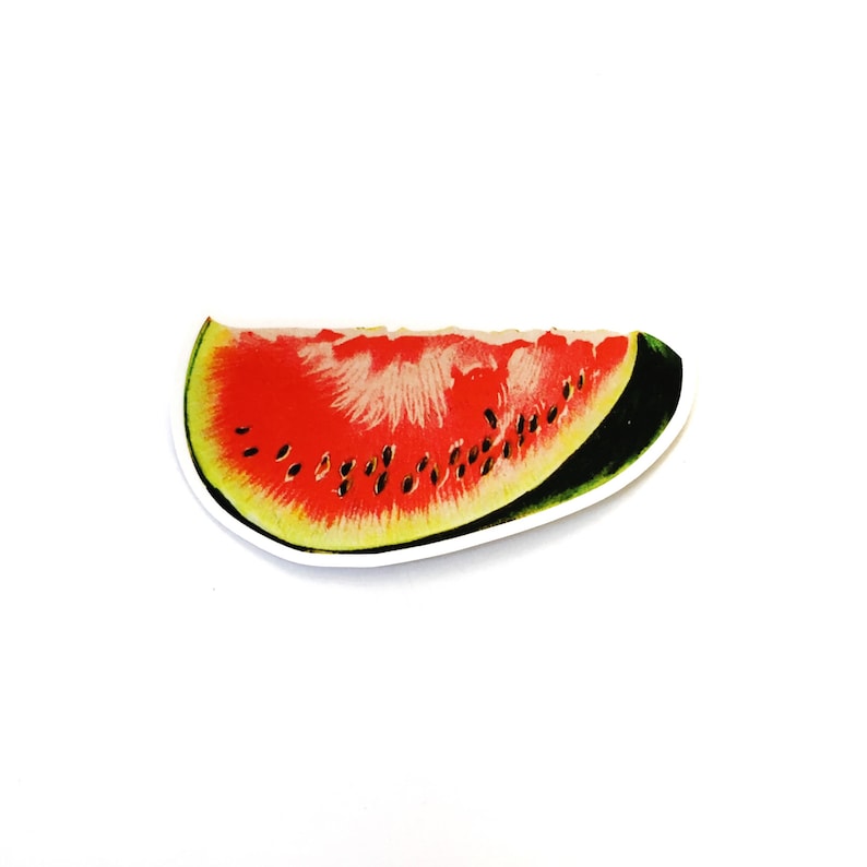 Watermelon Sticker, Vinyl Vintage Stickers, Bumper Decal, Laptop Decals ...