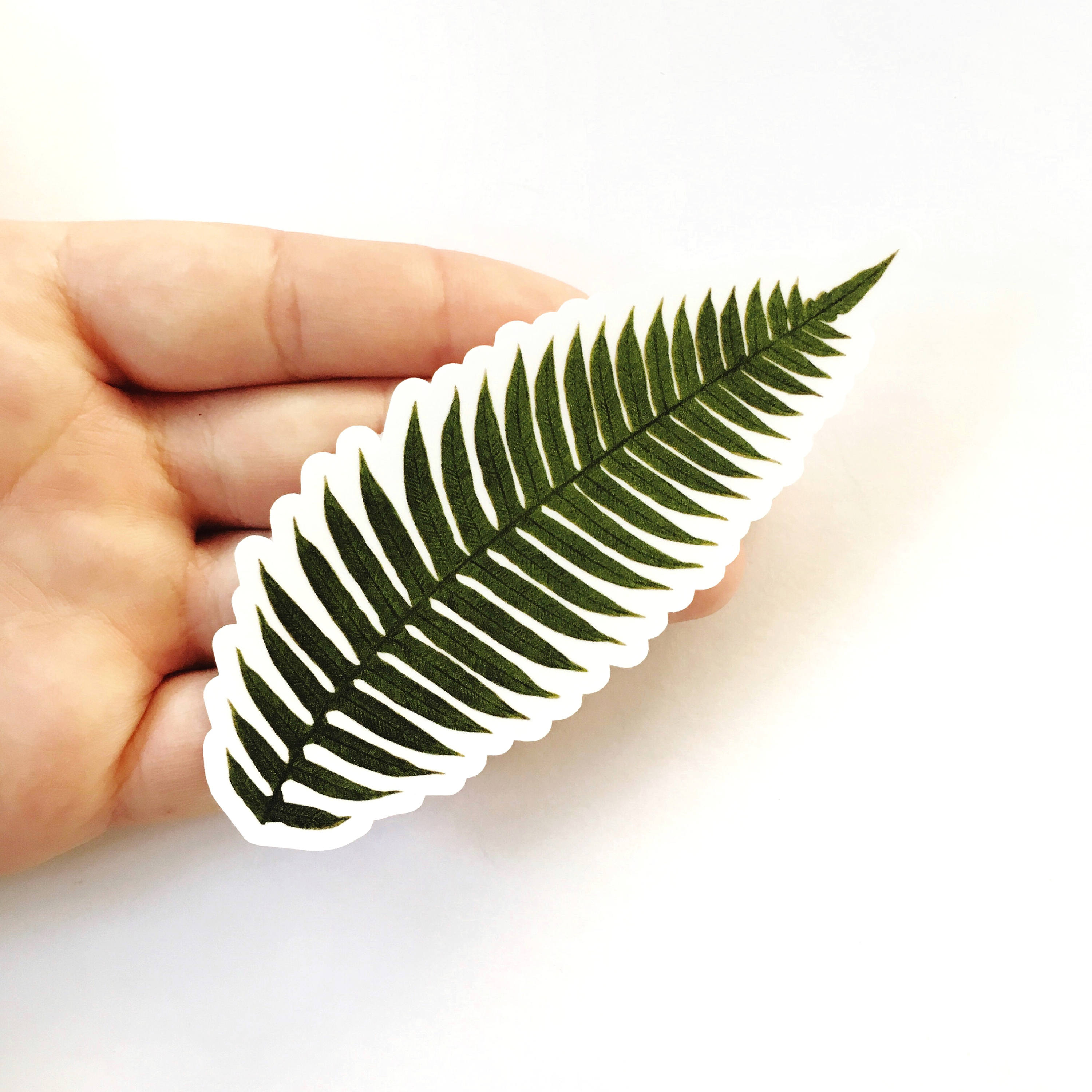 Fern Sticker Pack Nonfade Vintage Leaf Vinyl Stickers - Etsy