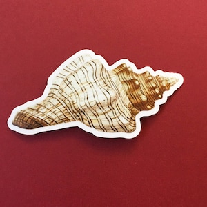 Sea Shell Sticker, Durable Beachy Vintage Best Vinyl Stickers, Antique ...