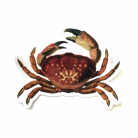 Crab Sticker Vinyl Stickers Macbook Sticker Pack Florida | Etsy