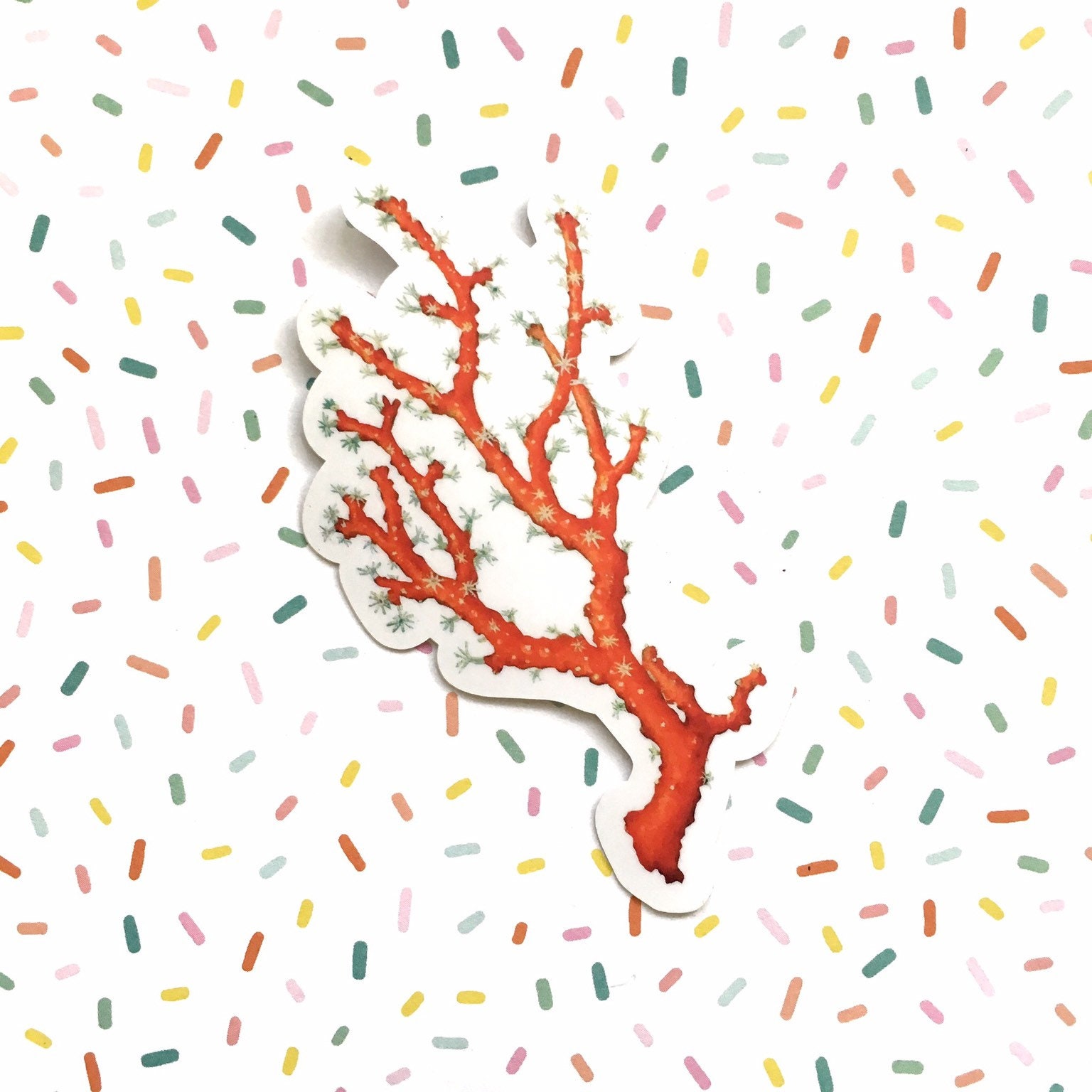 Red Coral Sticker Vintage Botanical Vinyl Sticker Pack | Etsy