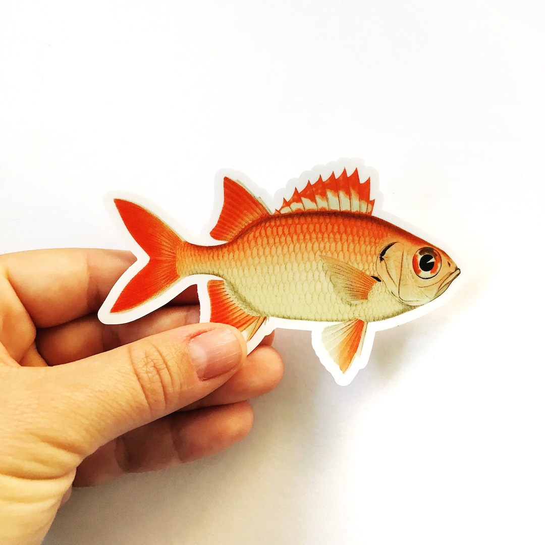 Red Fish Sticker, Soldierfish Vinyl Vintage Stickers, Bumper Sticker ...