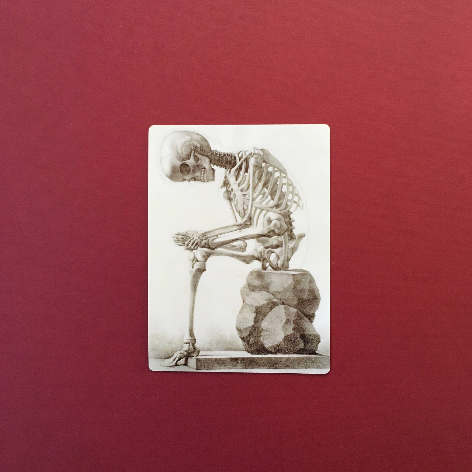 Antique Skeleton Sticker, Vintage Halloween Vinyl Decals, Antique ...