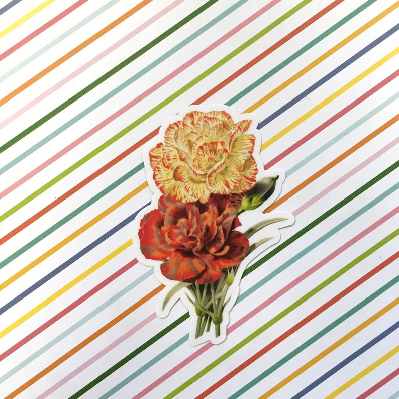Carnation Stickers, Flower Vinyl Sticker Pack, Laptop Decals Vintage ...