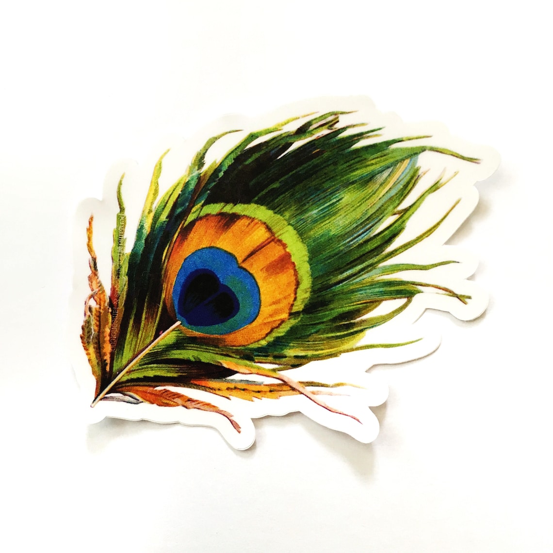 Peacock Feather Sticker Vinyl Peacock Stickers Vintage Etsy