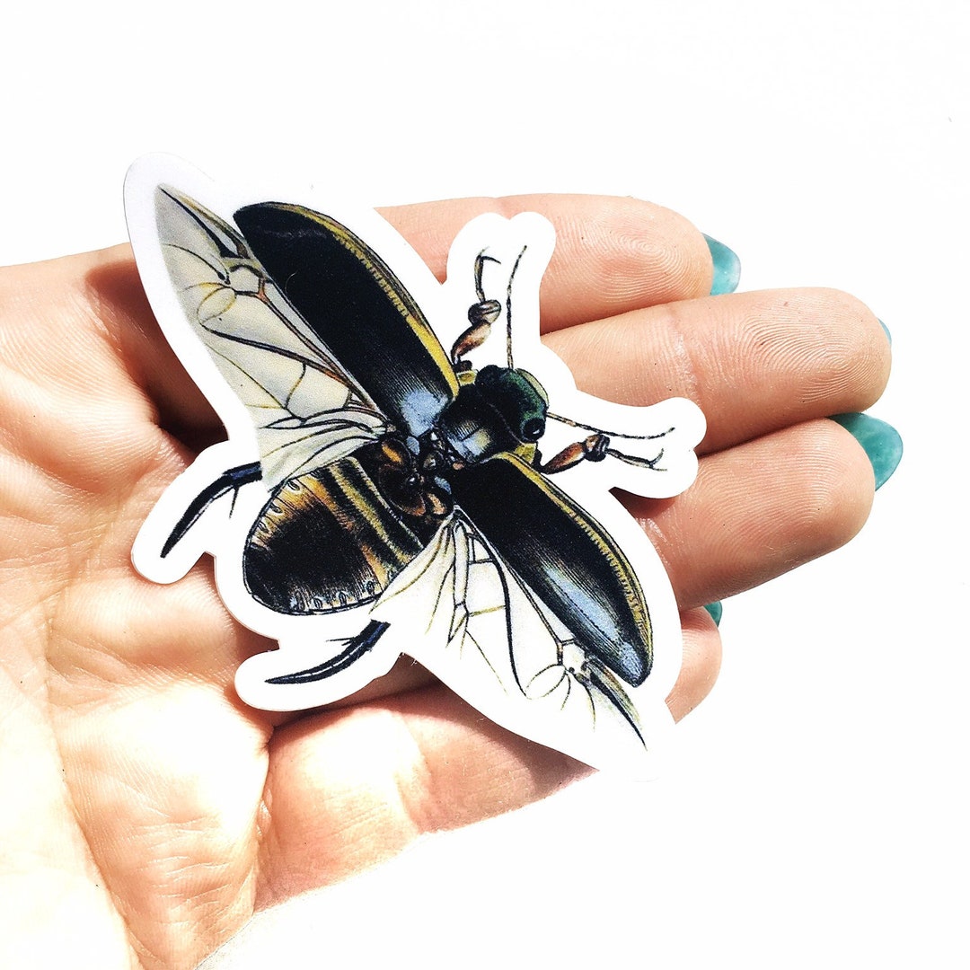 Vintage Beetle Sticker, Antique Scarab Vinyl Laptop Sticker Pack ...