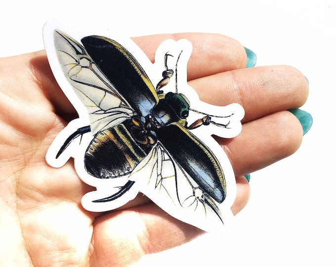 Vintage Snake Sticker Antique Serpent Vinyl Stickers Laptop - Etsy