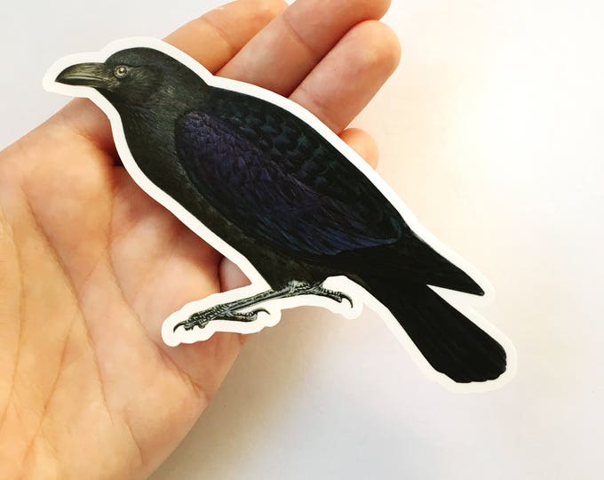 Vintage Snake Sticker Antique Serpent Vinyl Stickers Laptop - Etsy