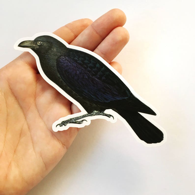 Black Crow Sticker Naturalistic Vintage Raven Vinyl Stickers | Etsy