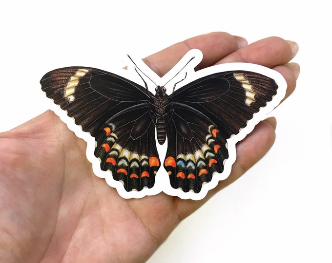 Vinyl Sticker Pack Random Laptop Stickers Waterproof - Etsy