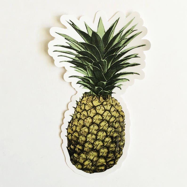 Pineapple Sticker, Vinyl Vintage Laptop Stickers, Bumper Flask MacBook ...