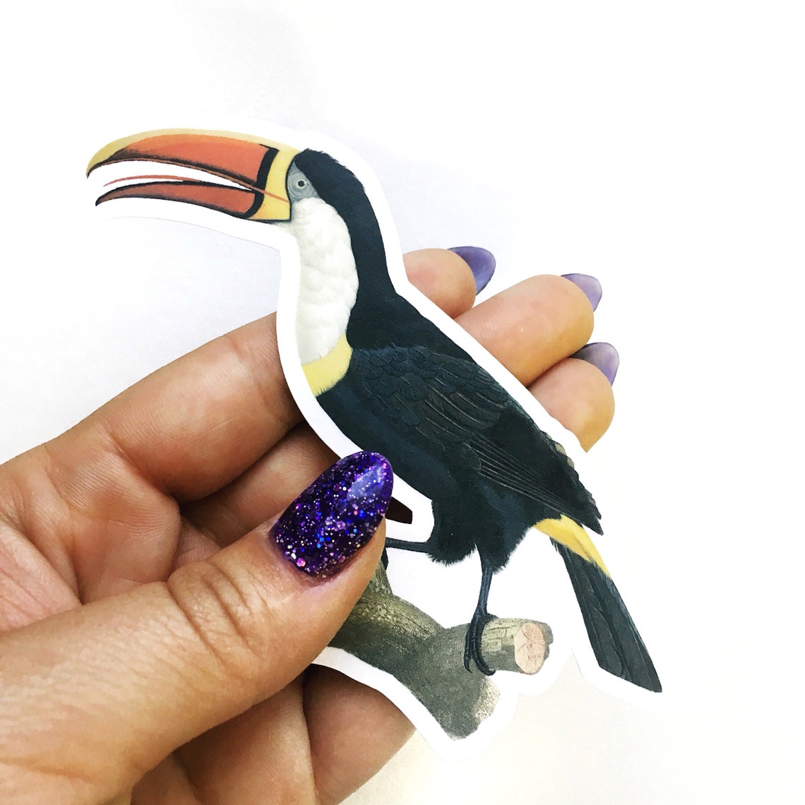 Toucan Sticker Vintage Sticker Pack Laptop Stickers Nature | Etsy