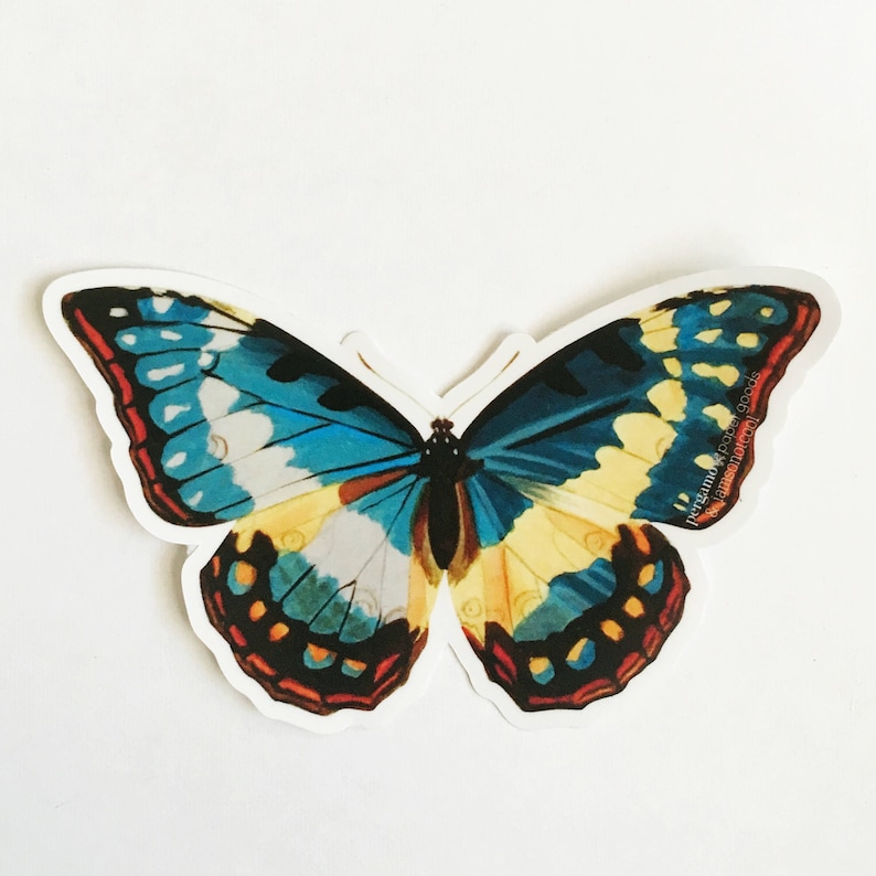 Butterfly Laptop Sticker Pack, Mix and Match Decals, Retro Vinyl ...