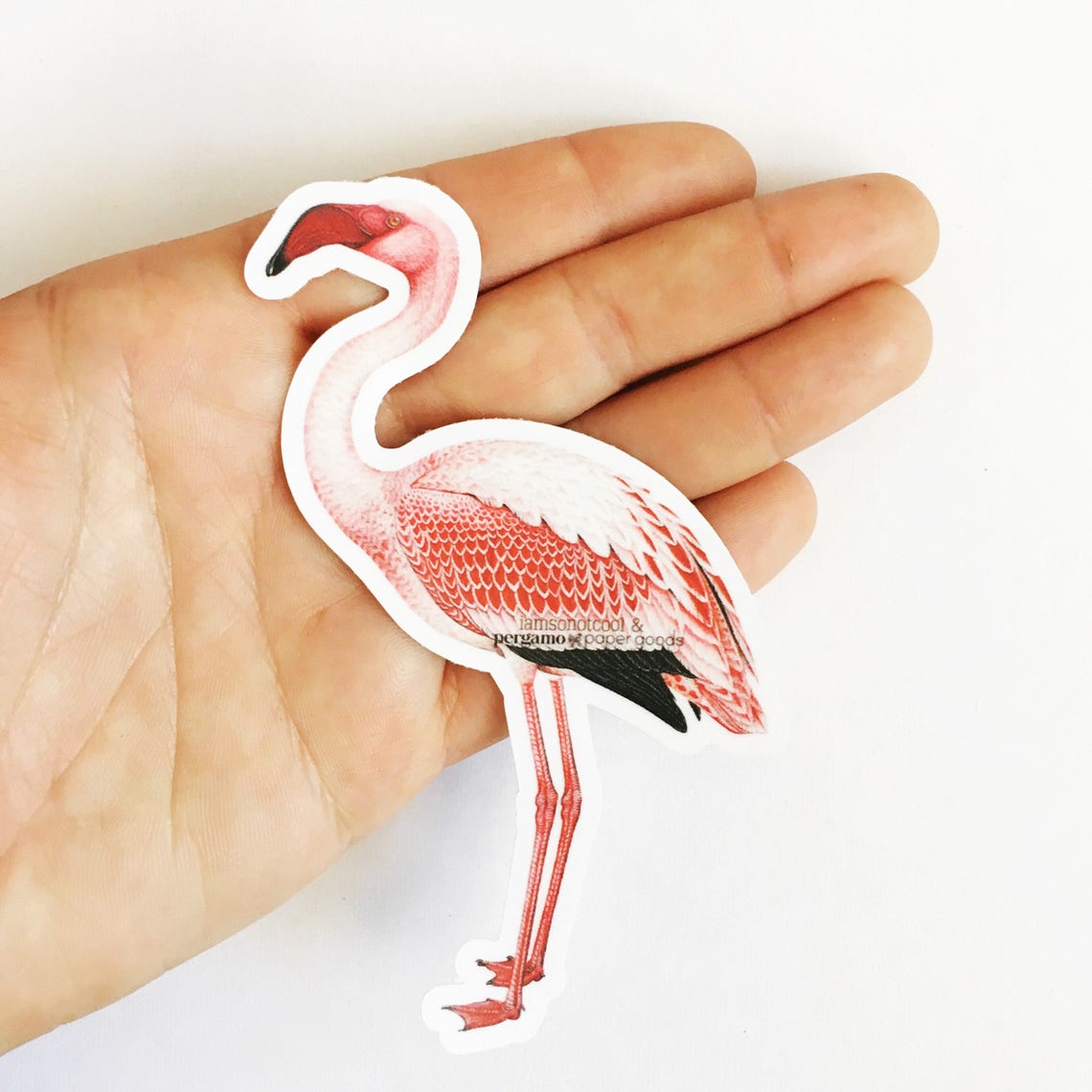 Flamingo Stickers Vintage Retro Vinyl Sticker Pack Pink | Etsy