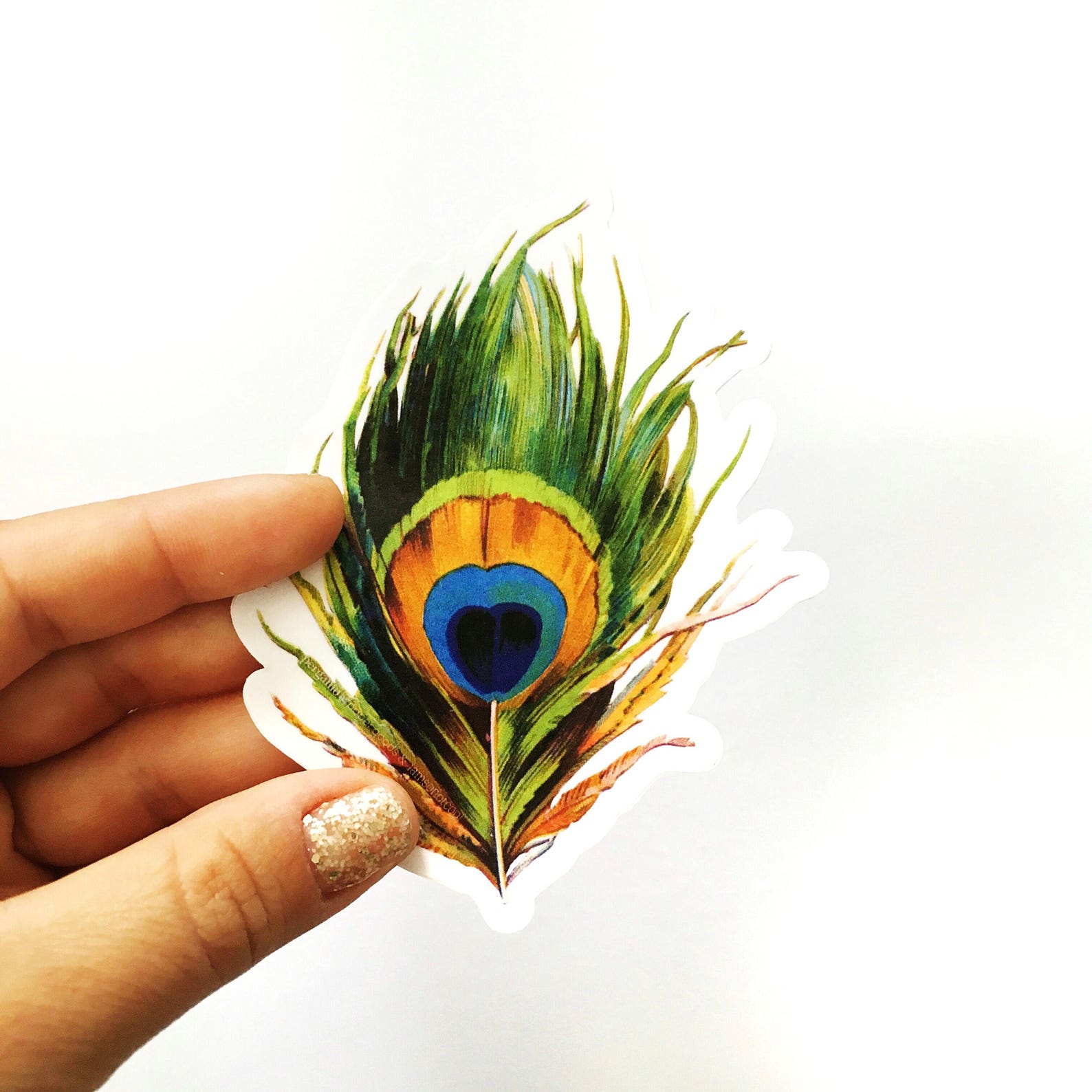 Peacock Feather Sticker, Vinyl Peacock Stickers, Vintage Antique Retro ...