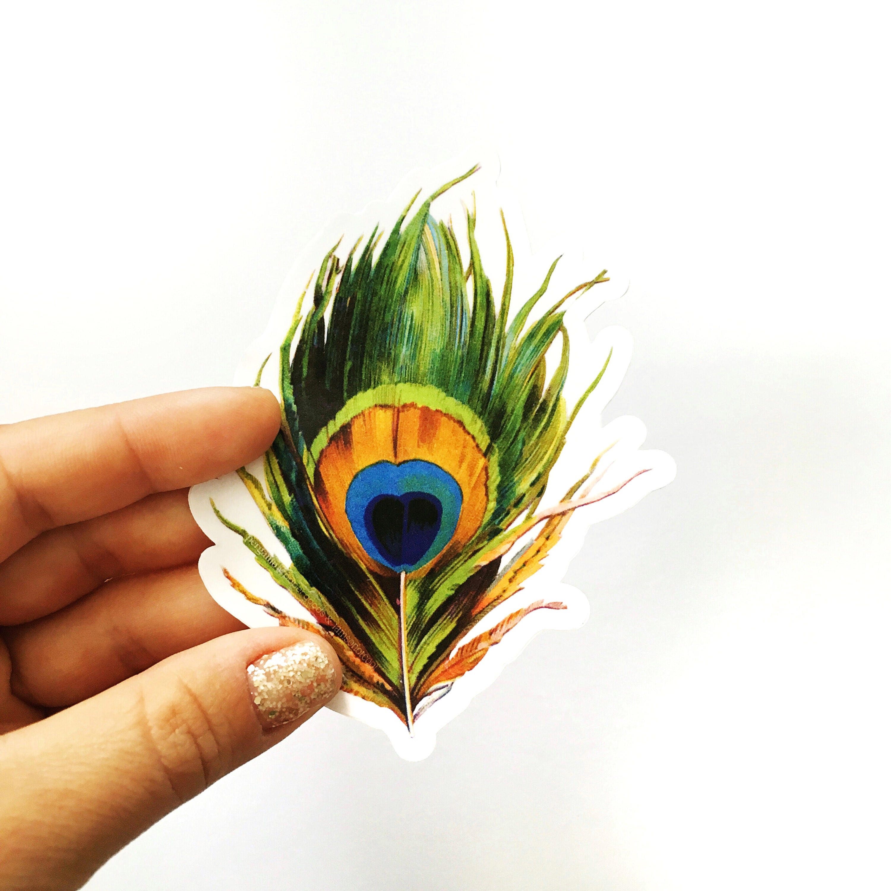Peacock Feather Sticker Vinyl Retro Sticker Bumper Sticker Etsy