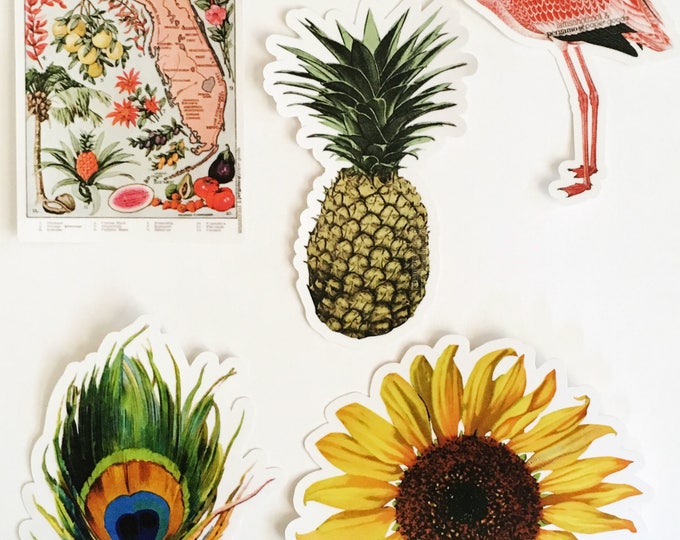 Vintage Camera Decal Laptop Sticker Pack Vinyl Stickers | Etsy