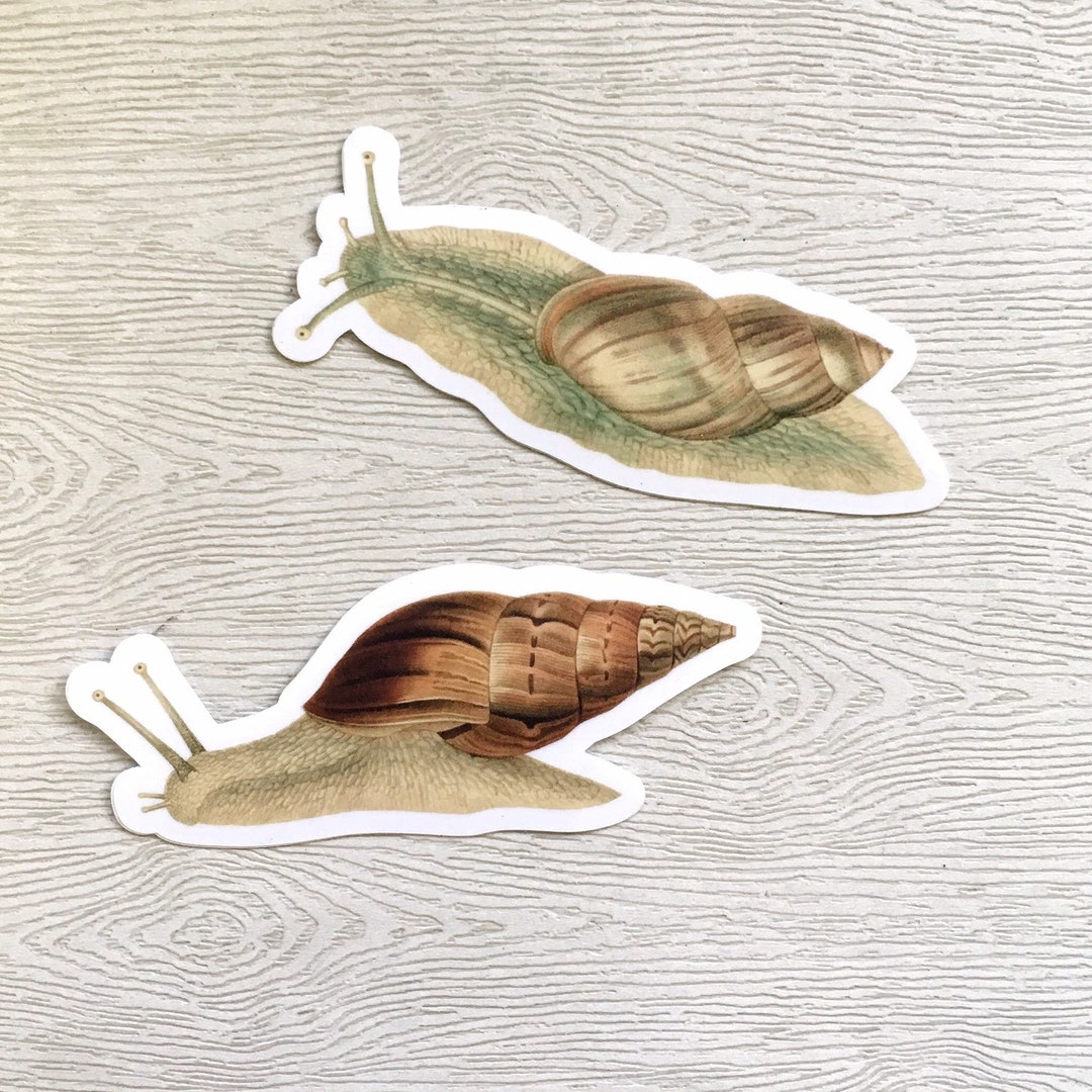 Snail Sticker Pack, Vintage Botanical, Vinyl Stickers Weird, Junk ...