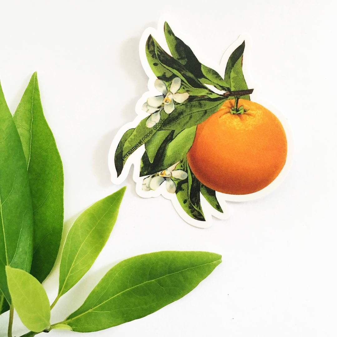 Orange Blossom Sticker, VSCO Vinyl Stickers Laptop, Retro Bumper Decals ...