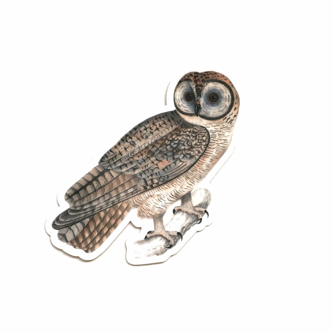 Owl Sticker Vinyl Sticker Pack Bird Sticker Laptop Sticker | Etsy