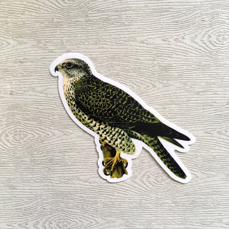 Falcon Stickers Vinyl Hawk Sticker Pack Bird Decal Laptop - Etsy