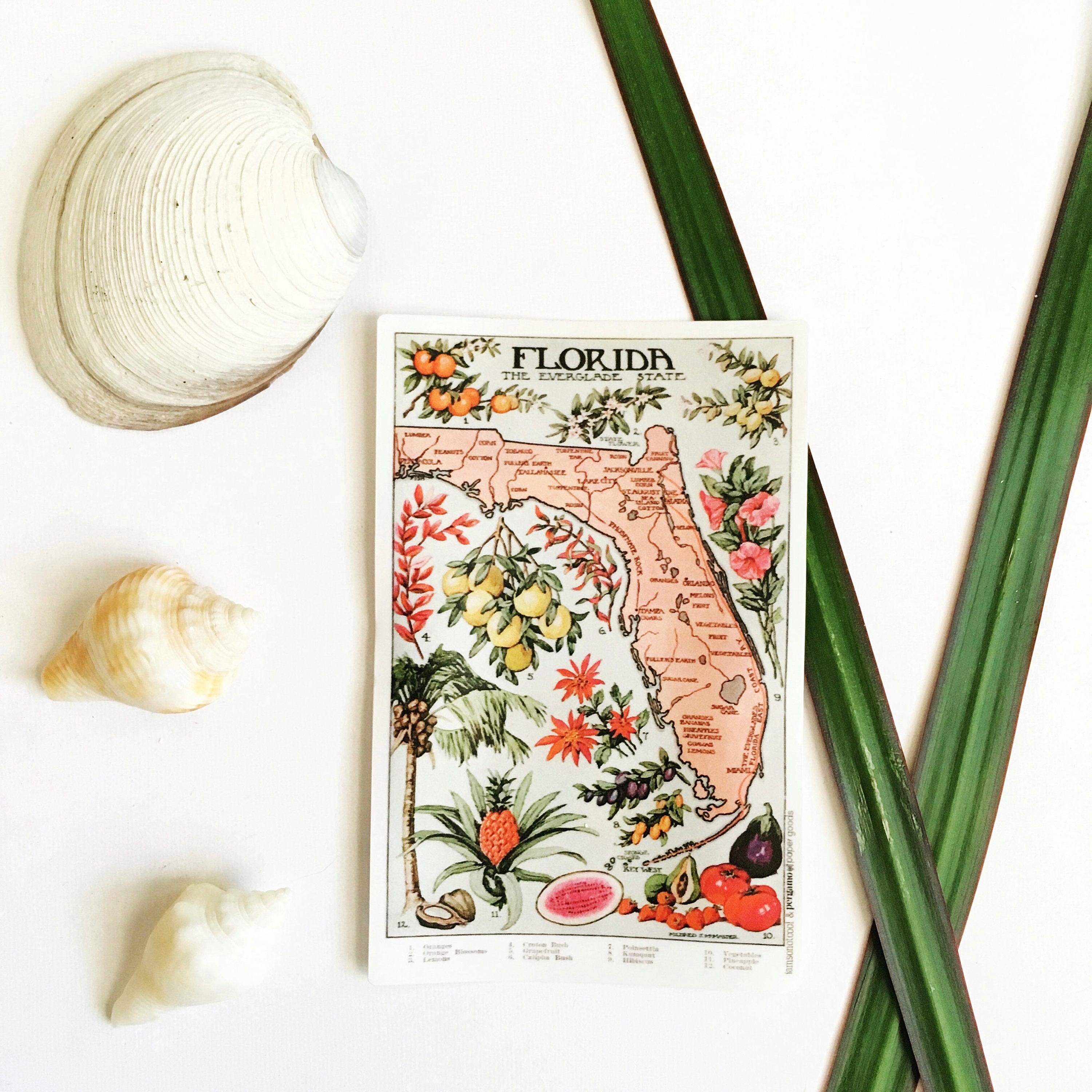 Florida Stickers Vinyl Laptop Sticker Pack Vintage Florida - Etsy