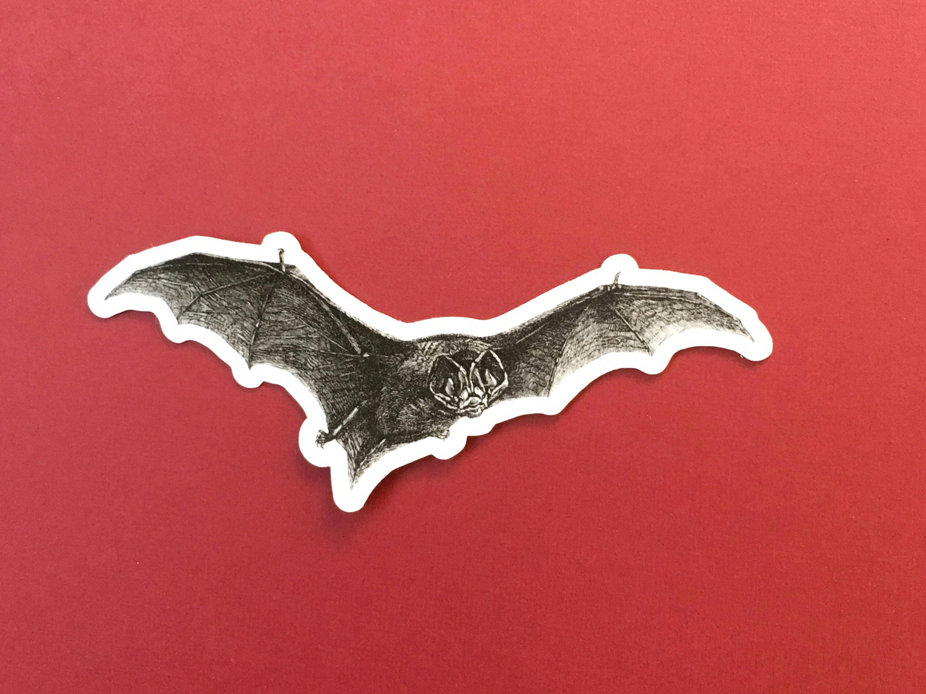 Vampire Bat Sticker, Durable Vintage Halloween Vinyl Stickers, Weird ...
