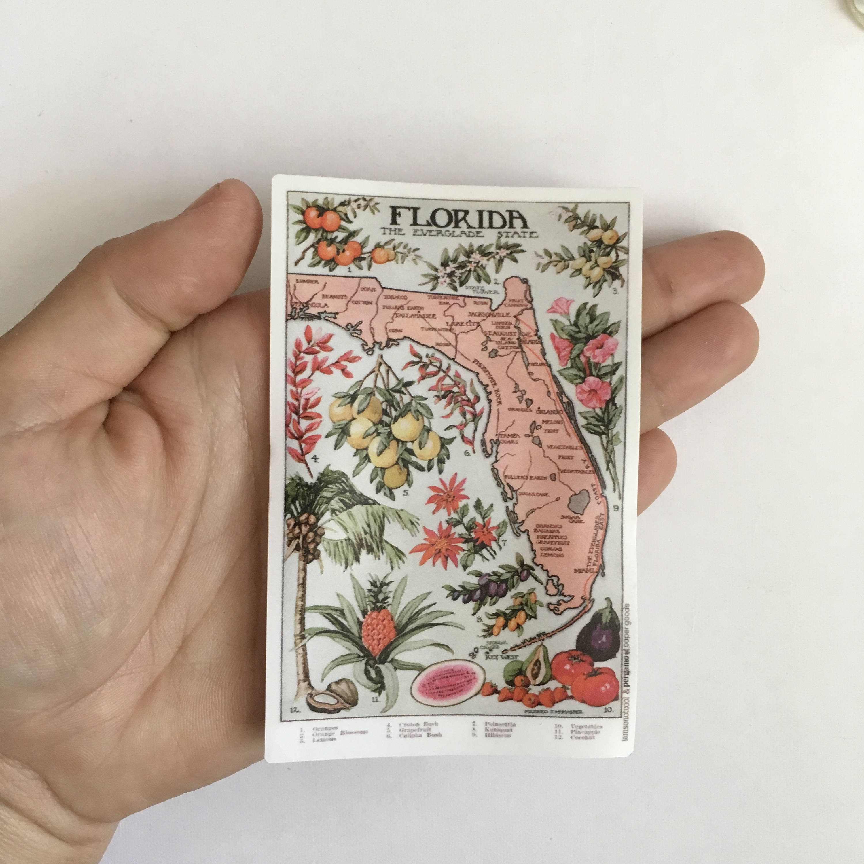 Florida Stickers Vinyl Laptop Sticker Pack Vintage Florida - Etsy
