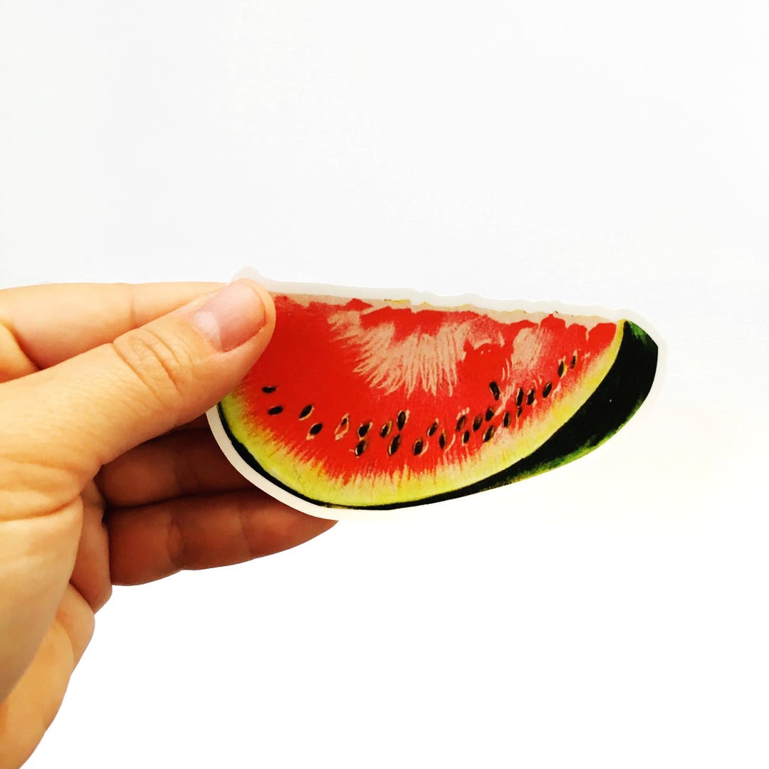 Watermelon Sticker, Vinyl Vintage Stickers, Bumper Decal, Laptop Decals ...