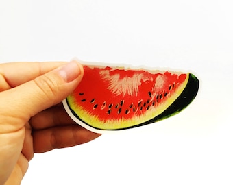 Falcon Stickers Vinyl Hawk Sticker Pack Bird Decal Laptop | Etsy