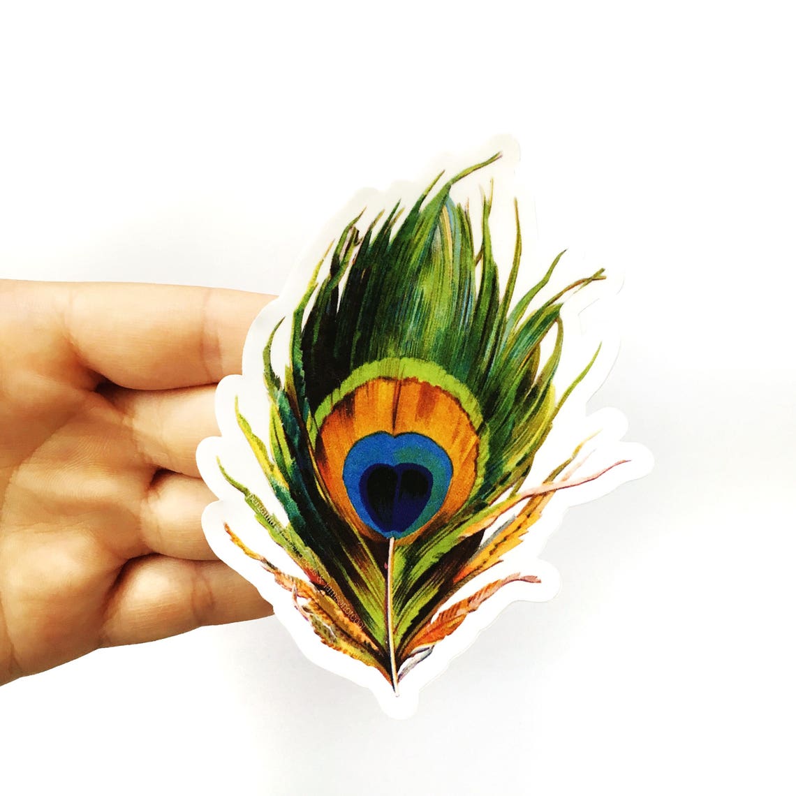 Peacock Feather Sticker Vinyl Peacock Stickers Vintage Etsy