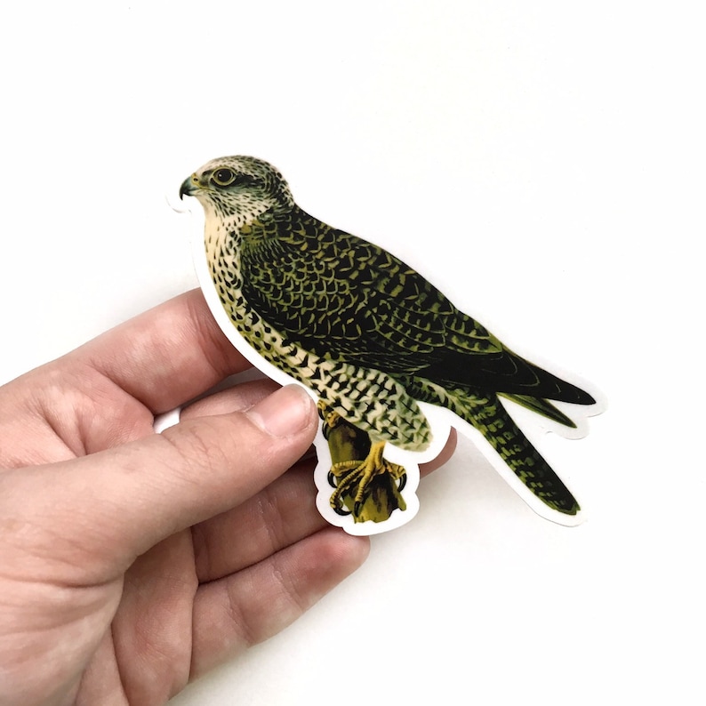 Falcon Stickers, Vinyl Hawk Sticker Pack, Bird Decal, Laptop Decals ...