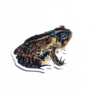 Frog Laptop Sticker, Antique Toad Vinyl Vintage Stickers, Fun Outdoor ...