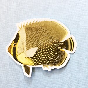 Butterflyfish Sticker, Vinyl Vintage Fish Stickers, Bumper Laptop Decal ...