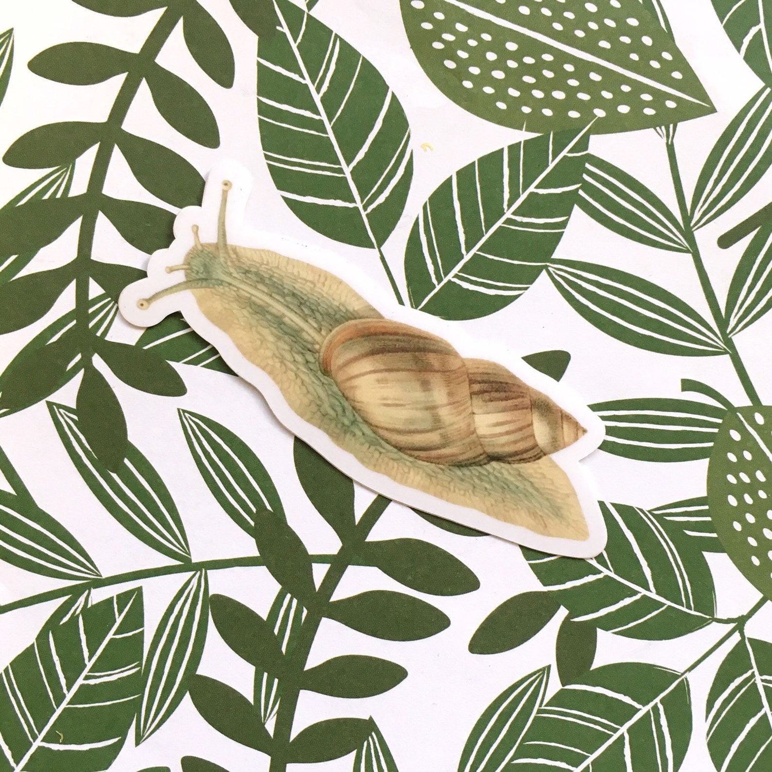 Snail Sticker Pack Vintage Botanical Vinyl Stickers Weird | Etsy