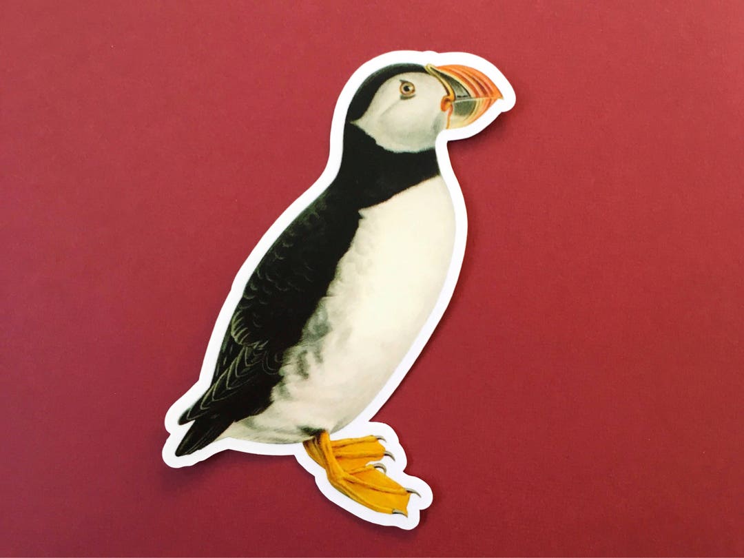 Puffin Sticker, Vinyl Vintage Stickers Laptop Bumper Sticker Pack ...
