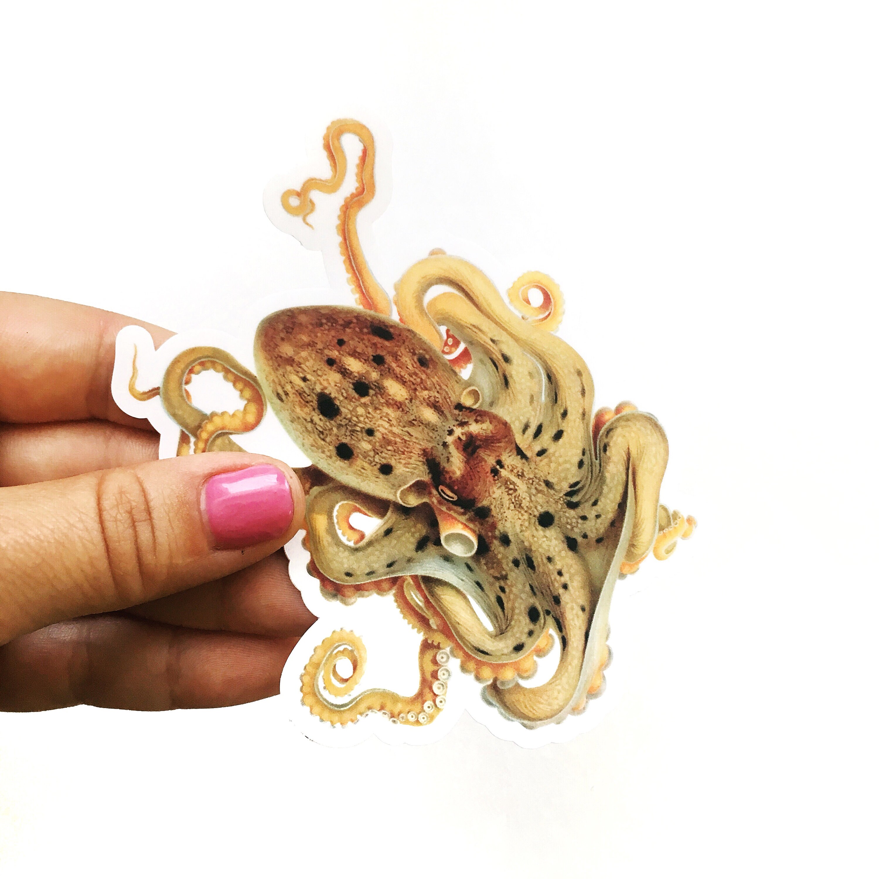 Octopus Sticker, Vintage Vinyl Stickers, Ocean Decal, Retro Laptop ...