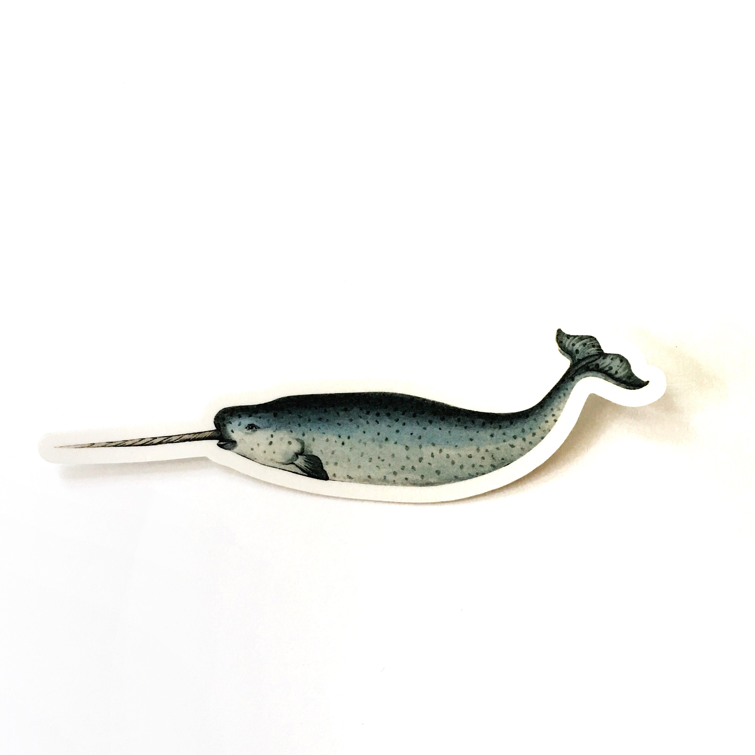 Narwhal Laptop Sticker Pack Narwhal Stickers Antique Animal - Etsy