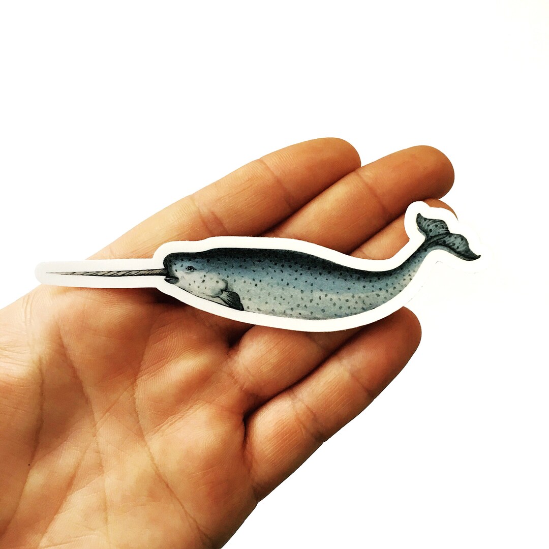 Narwhal Laptop Sticker Pack, Narwhal Stickers, Antique Animal Vinyl ...